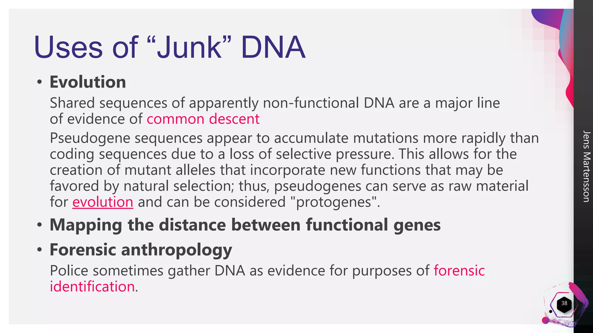 Junk DNA/ Non-coding DNA and its Importance (Regulatory RNAs, RNA ...