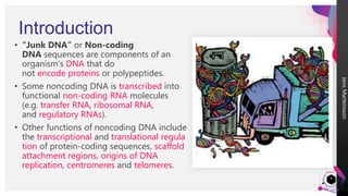 Junk DNA/ Non-coding DNA and its Importance (Regulatory RNAs, RNA ...