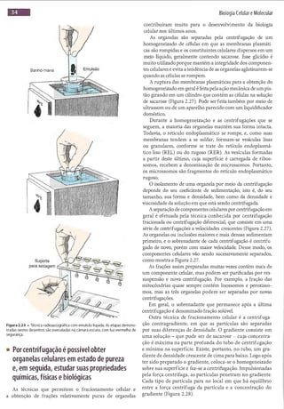 Junqueira & Carneiro - Biologia celular e molecular - 9 Ed.pdf