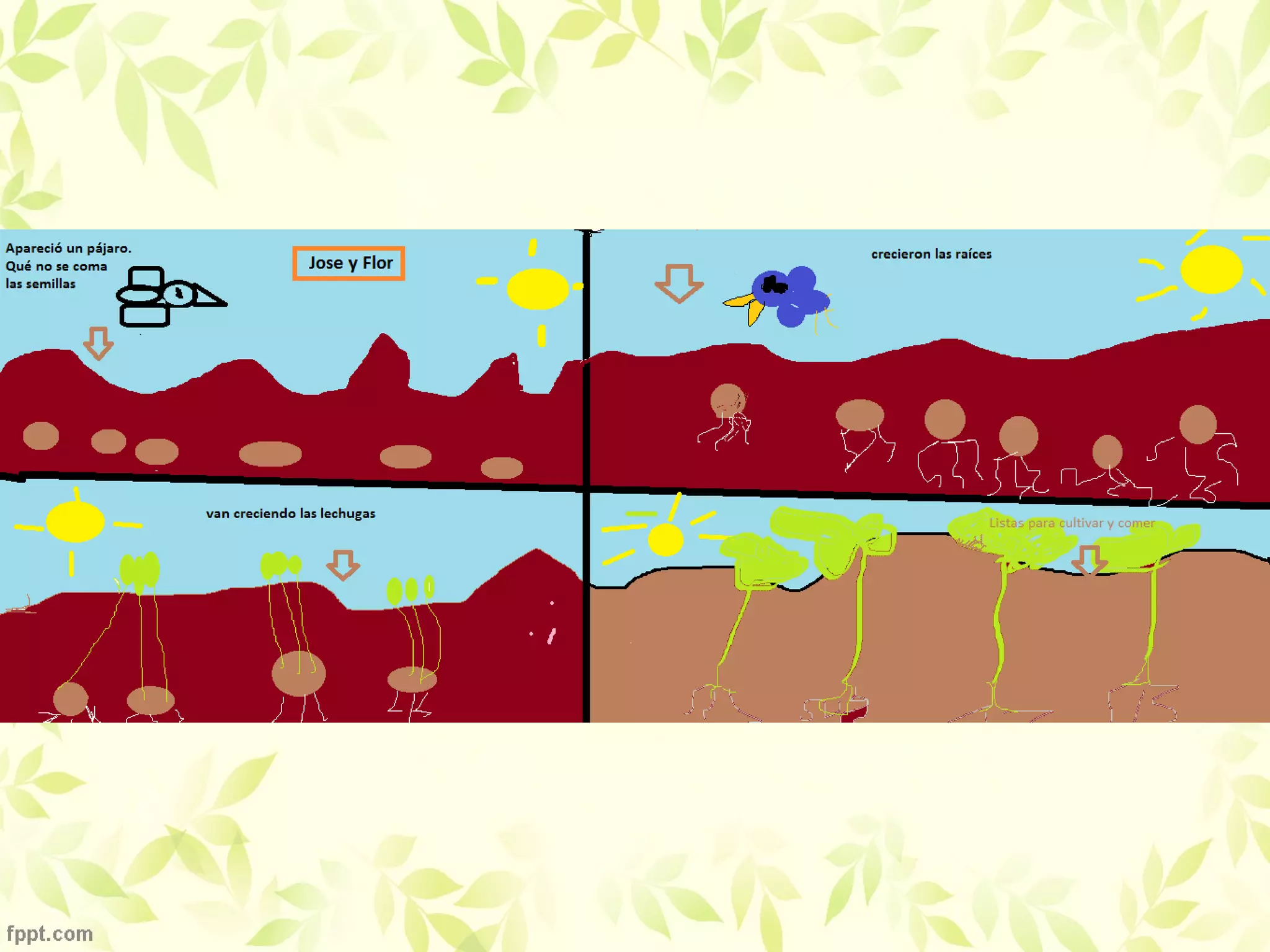 Observamos El Crecimiento De Las Plantas 2ºa Ppt