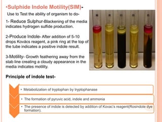 ISOLATION AND IDENTIFICATION OF NLF BACTERIA IN VARIOUS SAMPLES. | PPTX