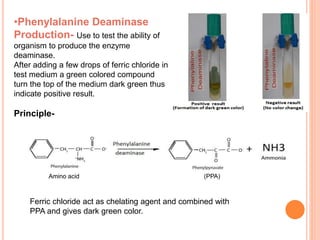 ISOLATION AND IDENTIFICATION OF NLF BACTERIA IN VARIOUS SAMPLES. | PPTX