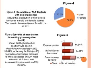 ISOLATION AND IDENTIFICATION OF NLF BACTERIA IN VARIOUS SAMPLES. | PPTX