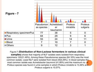 ISOLATION AND IDENTIFICATION OF NLF BACTERIA IN VARIOUS SAMPLES. | PPTX