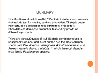 ISOLATION AND IDENTIFICATION OF NLF BACTERIA IN VARIOUS SAMPLES. | PPTX