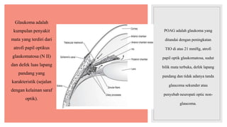 JURDING-Alya Silva Nabilah 112021174.pptx