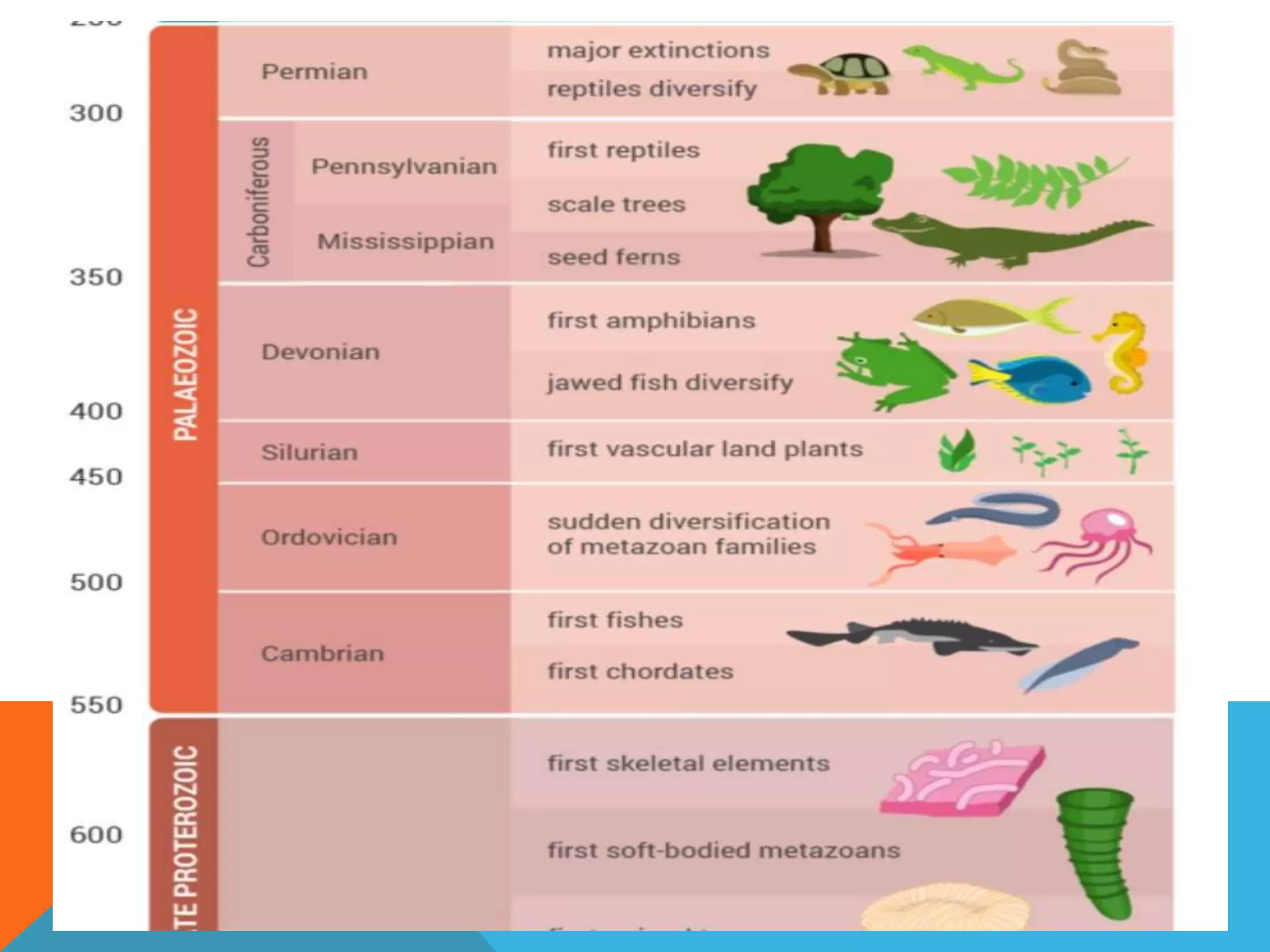 Jurie G.Pitogo_Presentation_Geologic Time Scale.pptx