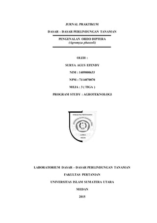 Jurnal DDPT Diptera | DOCX