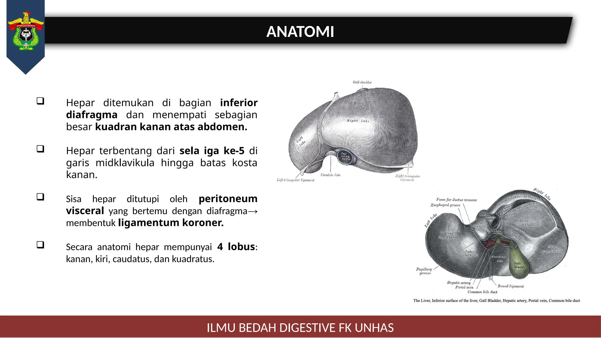 Jurnal Digestive preoperative with hepar resection .pptx