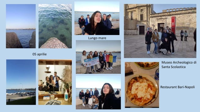 JURNAL DOLORES Prezentare 5.pptx