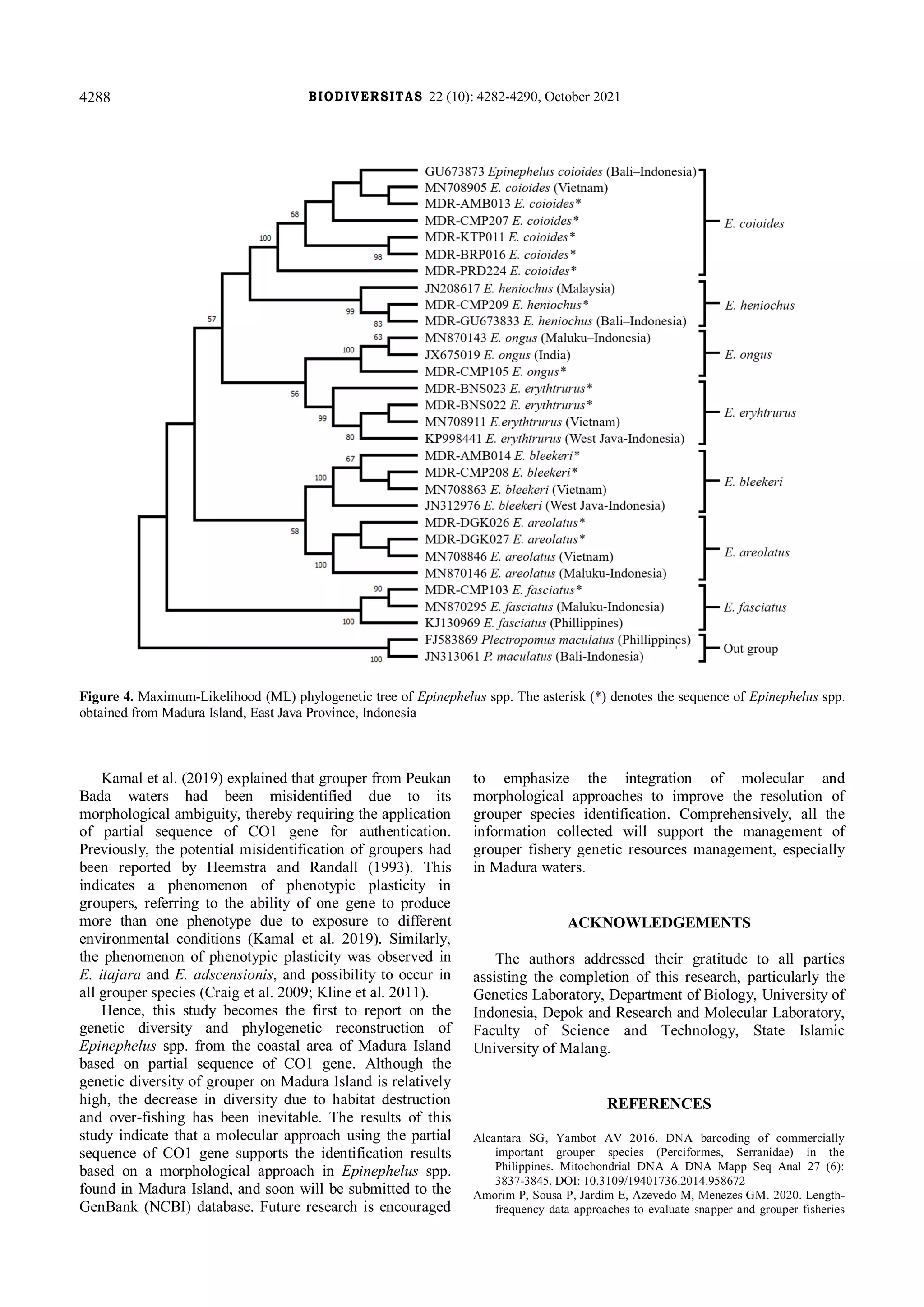 Genetic diversity analysis and phylogenetic reconstruction of groupers ...