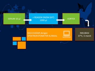 uji aktivitas antihiperkolesterol jamur tiram putih fajar santoso uhamka | PPT