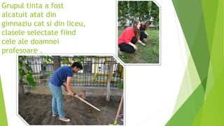 Jurnalul verde | PPT