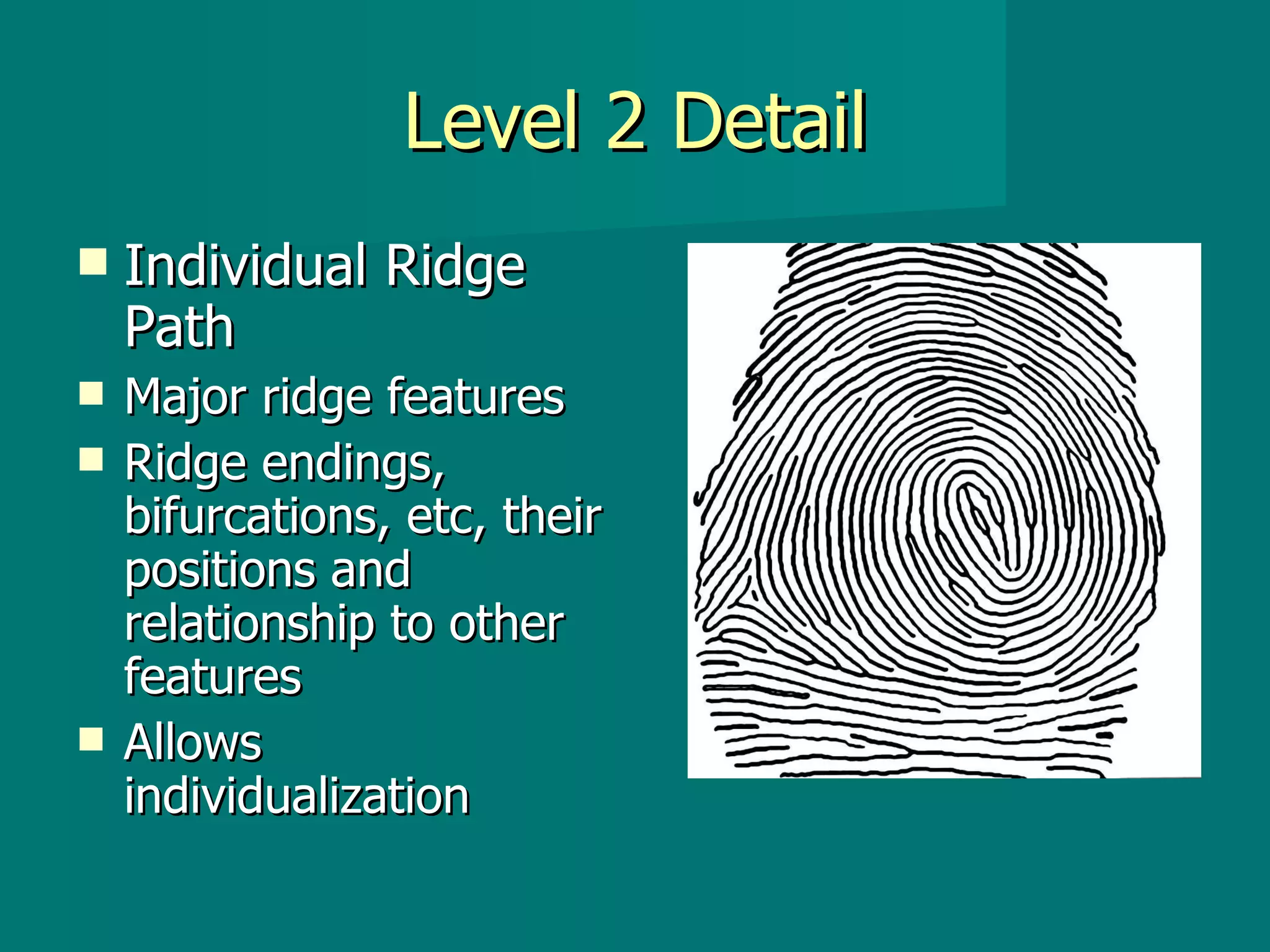 Friction Skin Identification | PPT