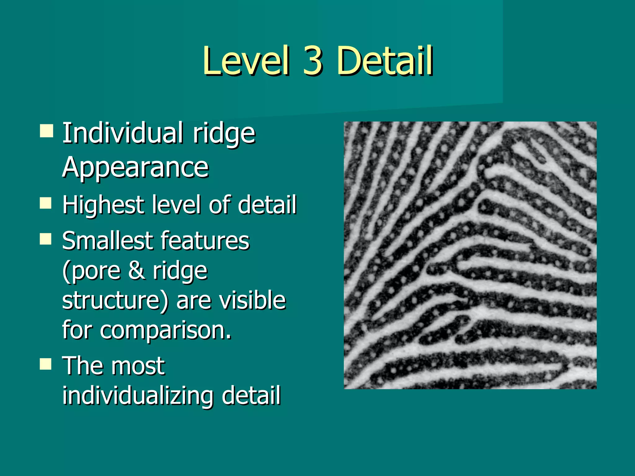 Friction Skin Identification | PPT