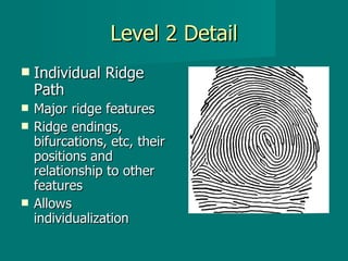 Friction Skin Identification | PPT