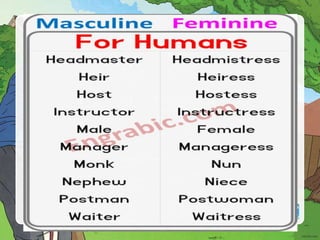 Gender nouns.pptx