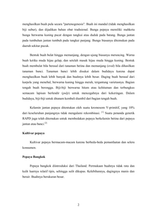 Jus pepaya sutrek | PDF