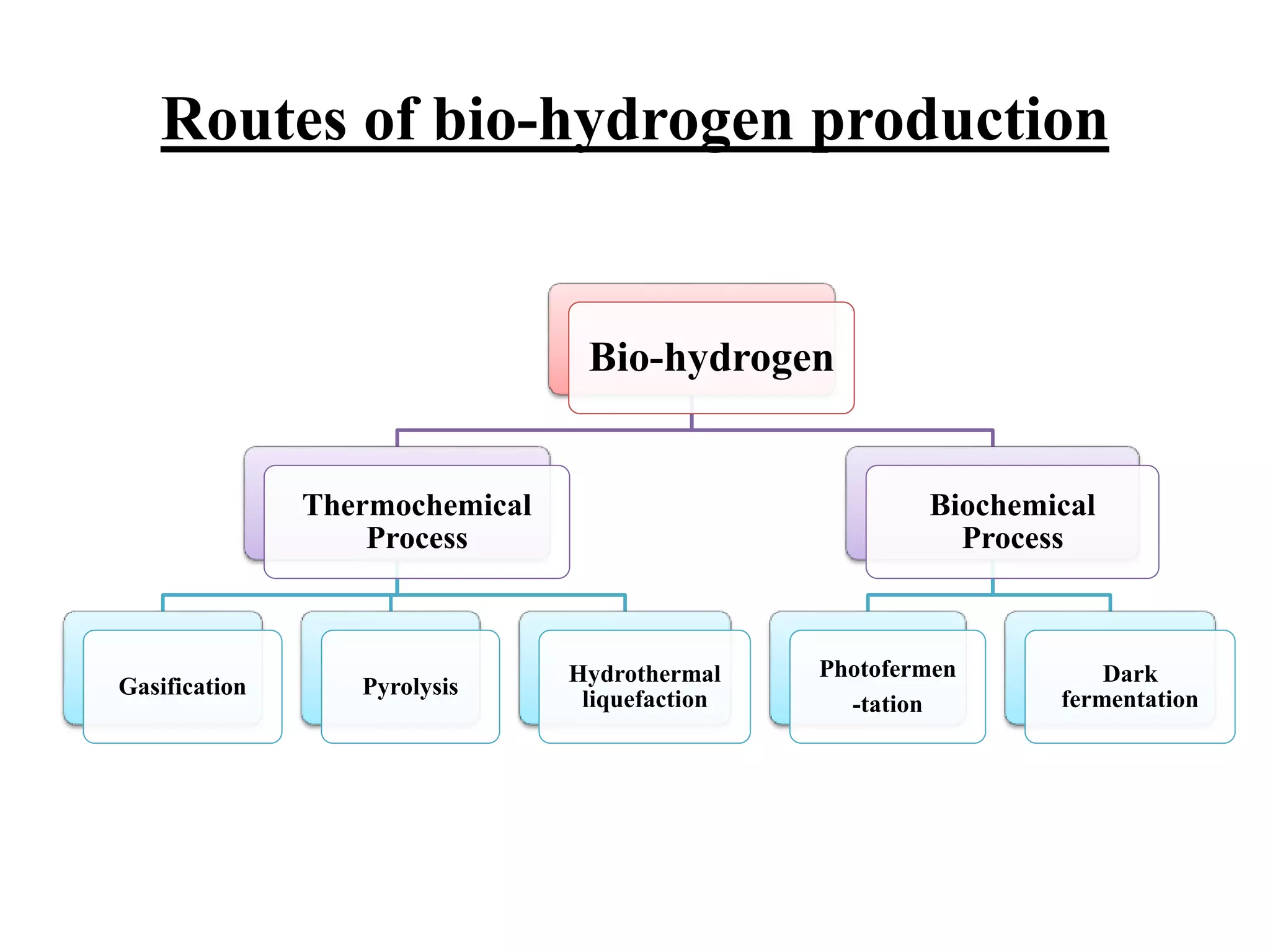 Biohydrogen production | PPTX