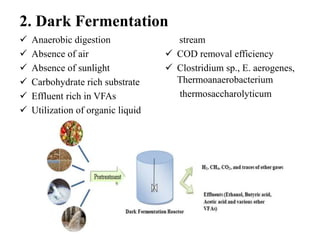 Biohydrogen production | PPTX