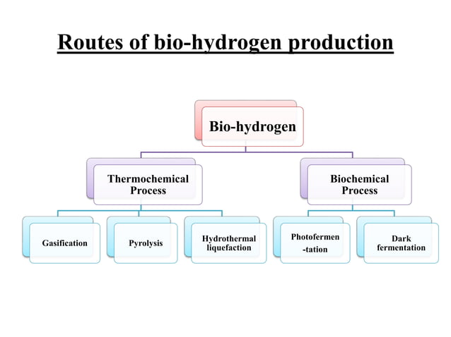 Biohydrogen production | PPTX | Agriculture | Industries