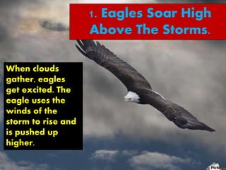 JUST AS THE EAGLES | PPTX