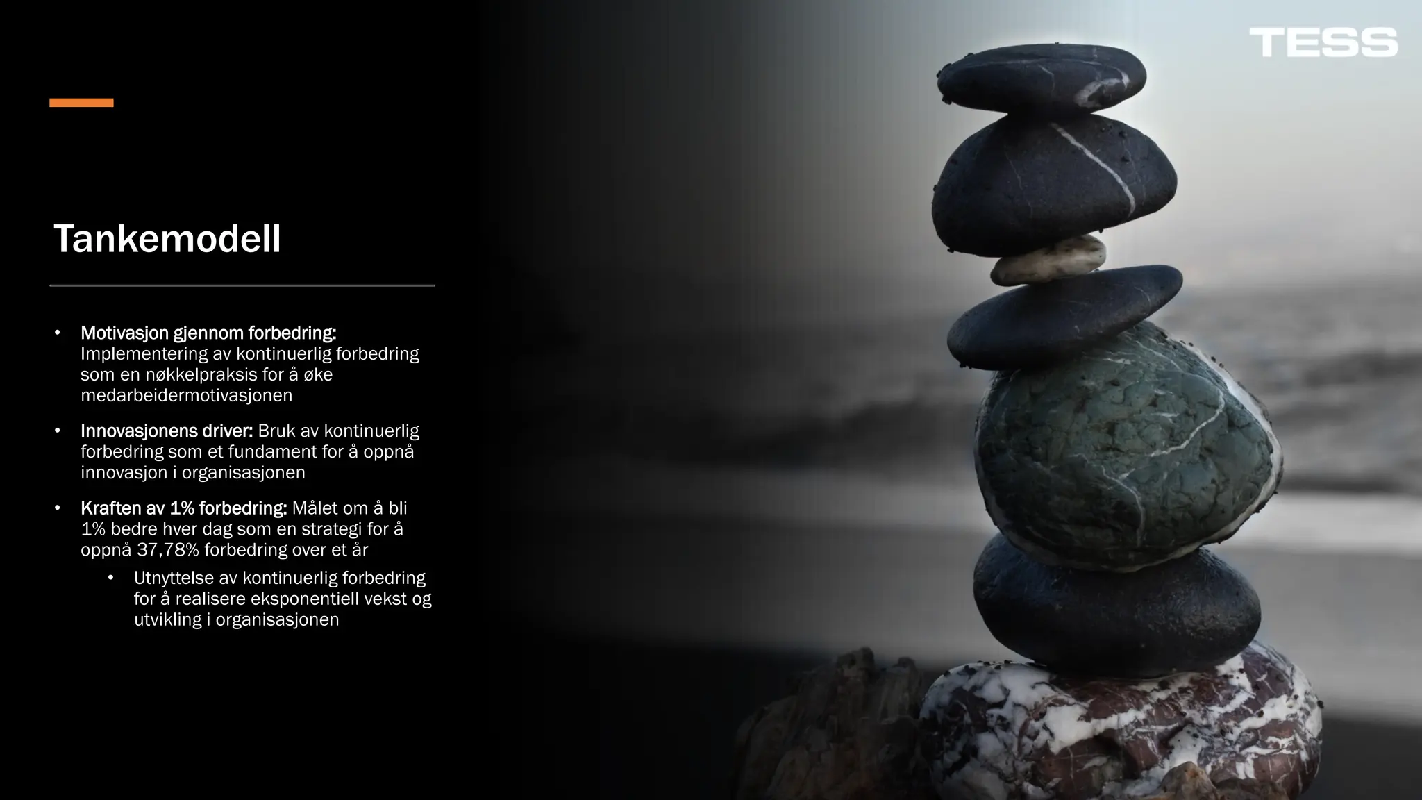 Just Do It Kaizen_forslag.pdf