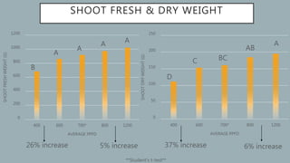 Justice csc 2019 final | PPT