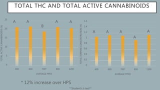 Justice csc 2019 final | PPT