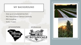 Justice csc 2019 final | PPT