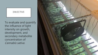 Justice csc 2019 final | PPT