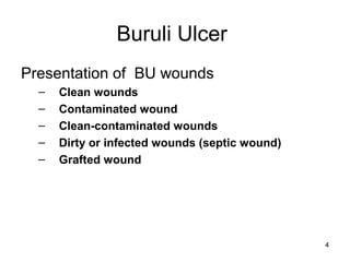 Wound management in Buruli ulcer patients | PPT