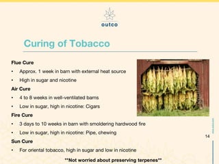 Understanding, Modulating and Optimizing Drying and Curing | PPT