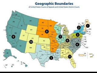 The American legal system: An overview | PPTX