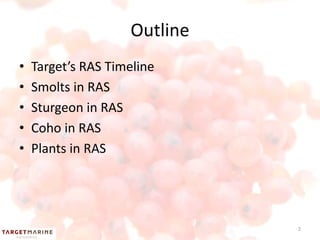 Justin henry-diversified-ras-farm | PPT