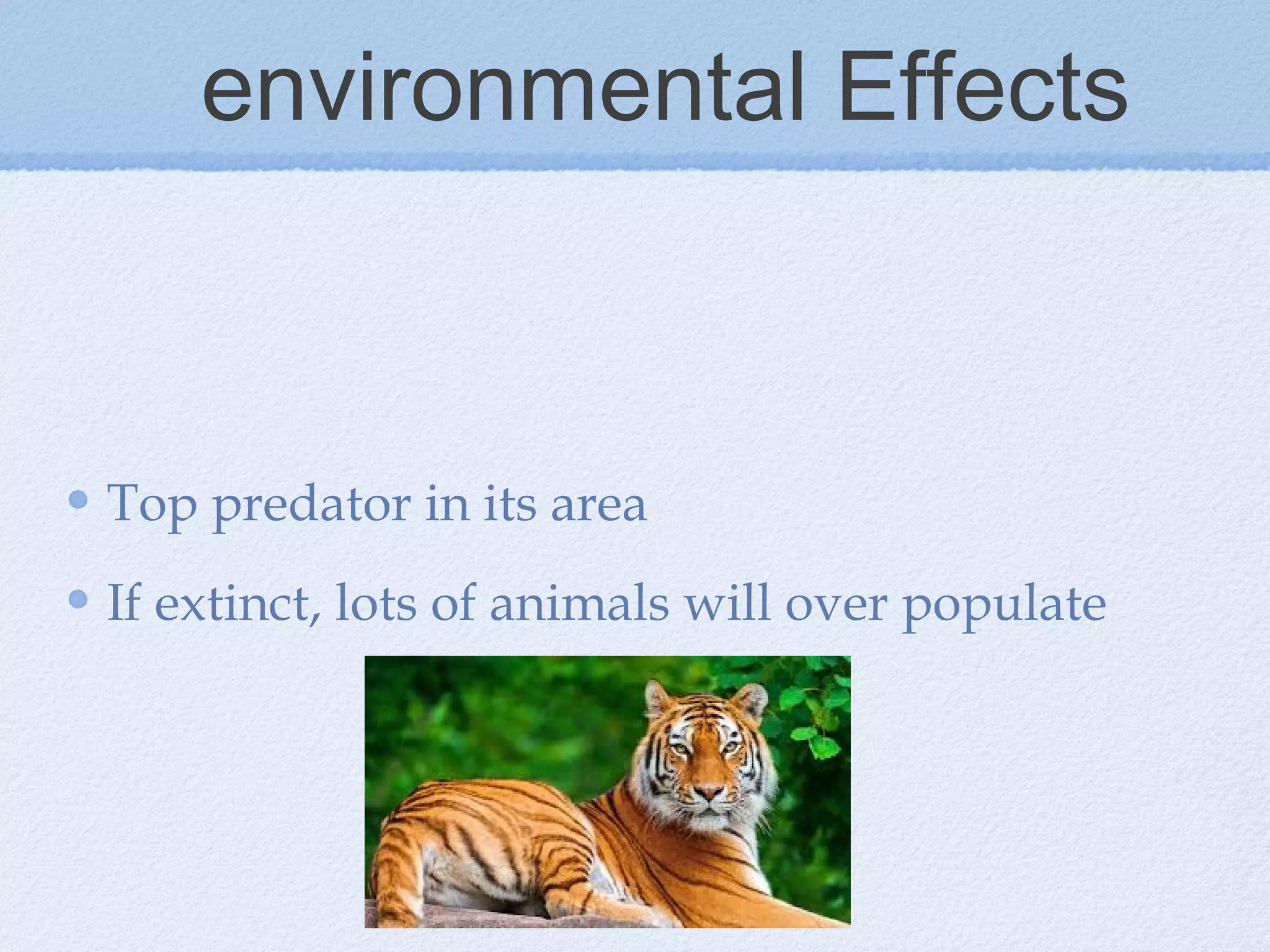 Justin and mustafa and collin final animal ppt | PPT