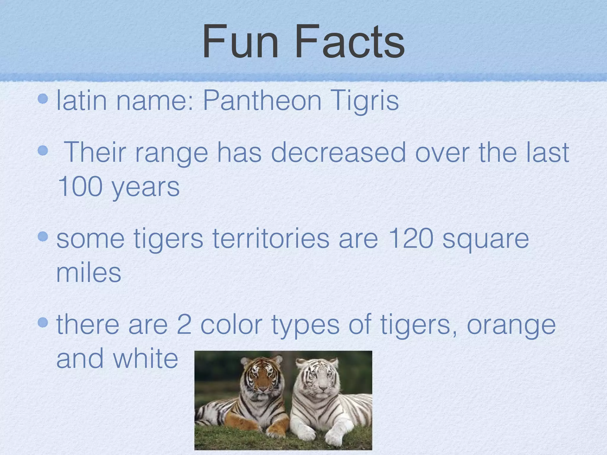Justin and mustafa and collin final animal ppt | PPT