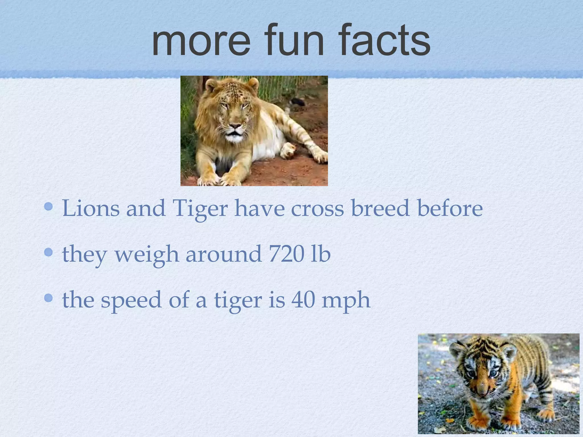 Justin and mustafa and collin final animal ppt | PPT