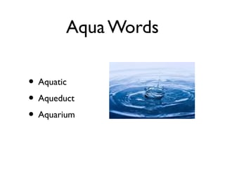 Justin and Owen new root words power point | PPT