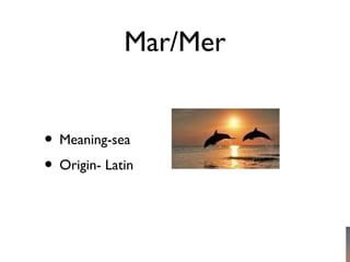 Justin and Owen new root words power point | PPT