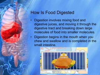 Justin digestive system power point presentation for mr. stange | PPT