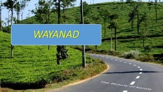 WAYANAD-THE BEAUTY OF KERALA | PPTX