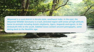 WAYANAD-THE BEAUTY OF KERALA | PPTX