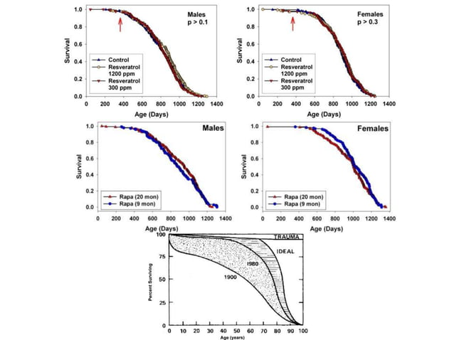 Justin Rebo at Health Extension Salon #2 | PPT