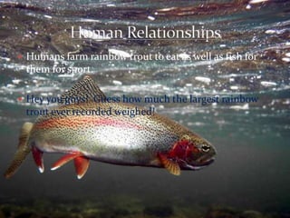 Justin's wildlife trout project | PPT