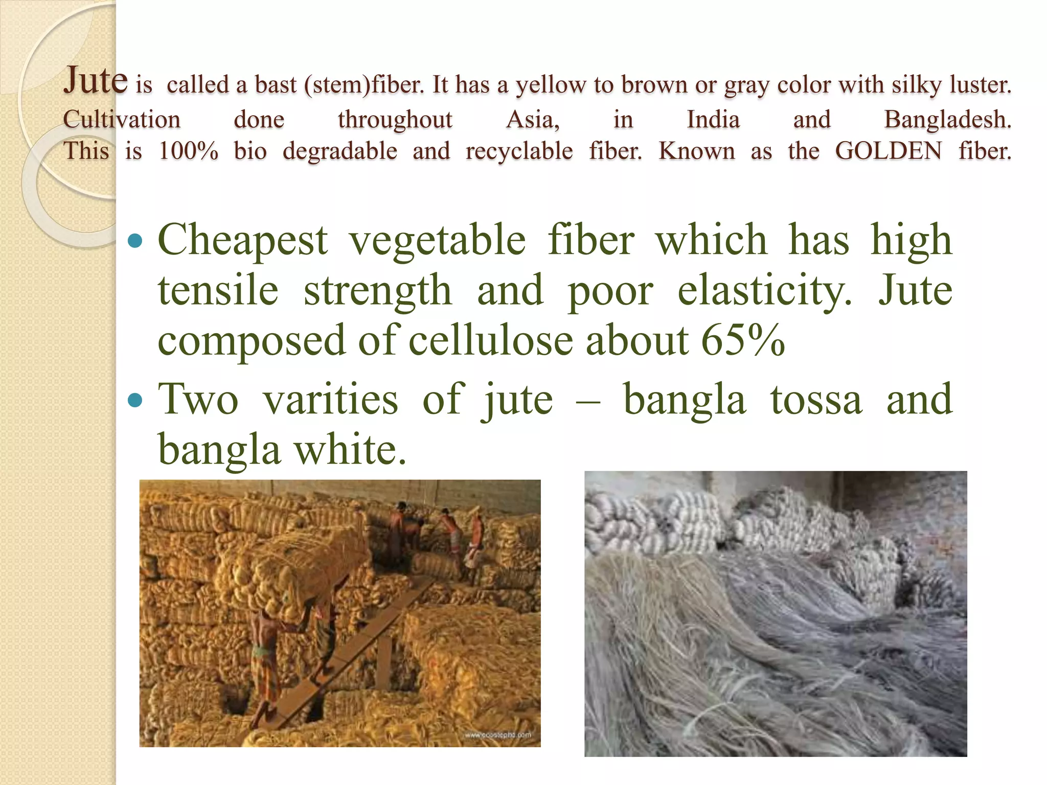 Natural FIber - Jute | PPTX
