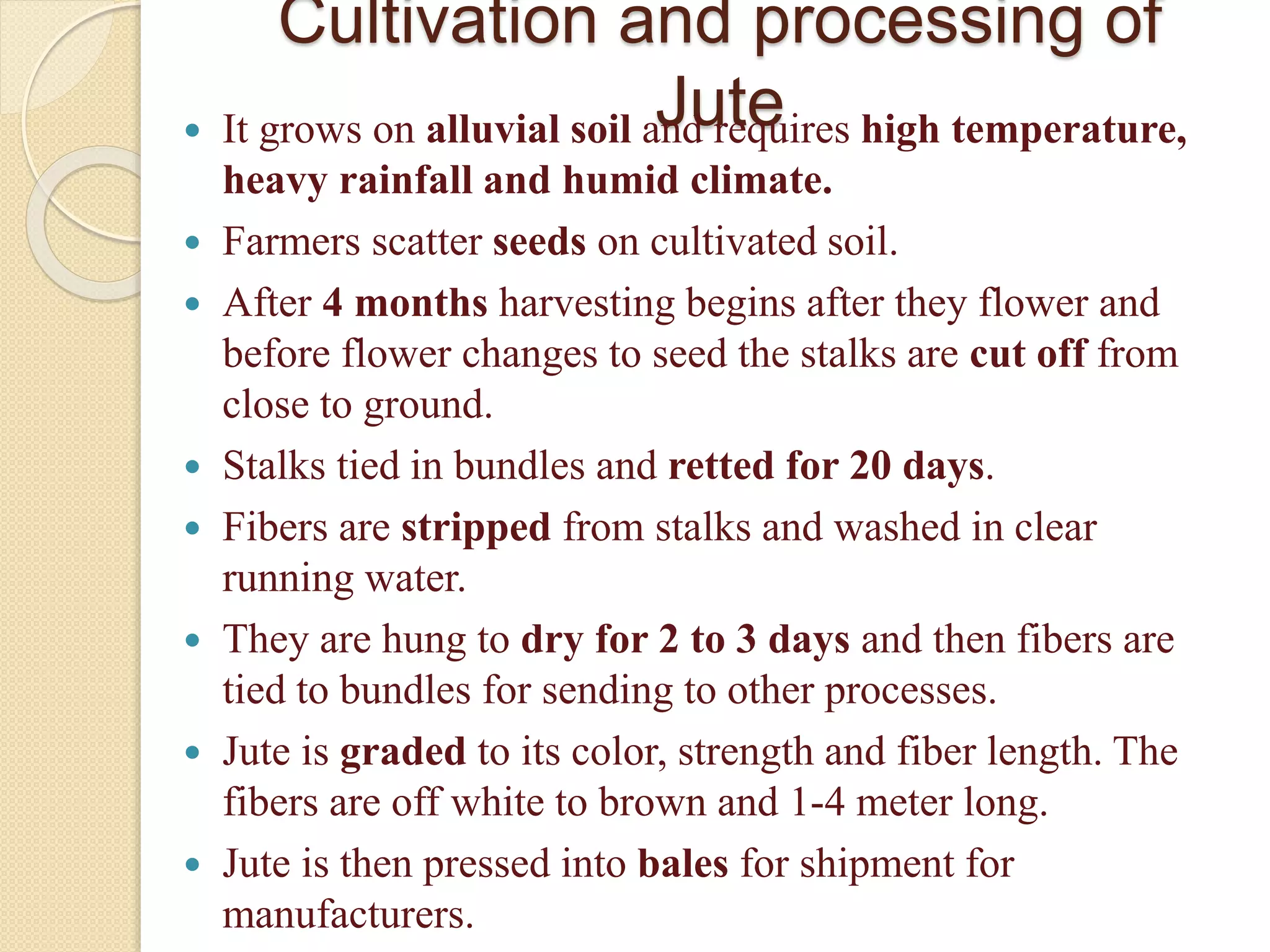 Natural FIber - Jute | PPTX