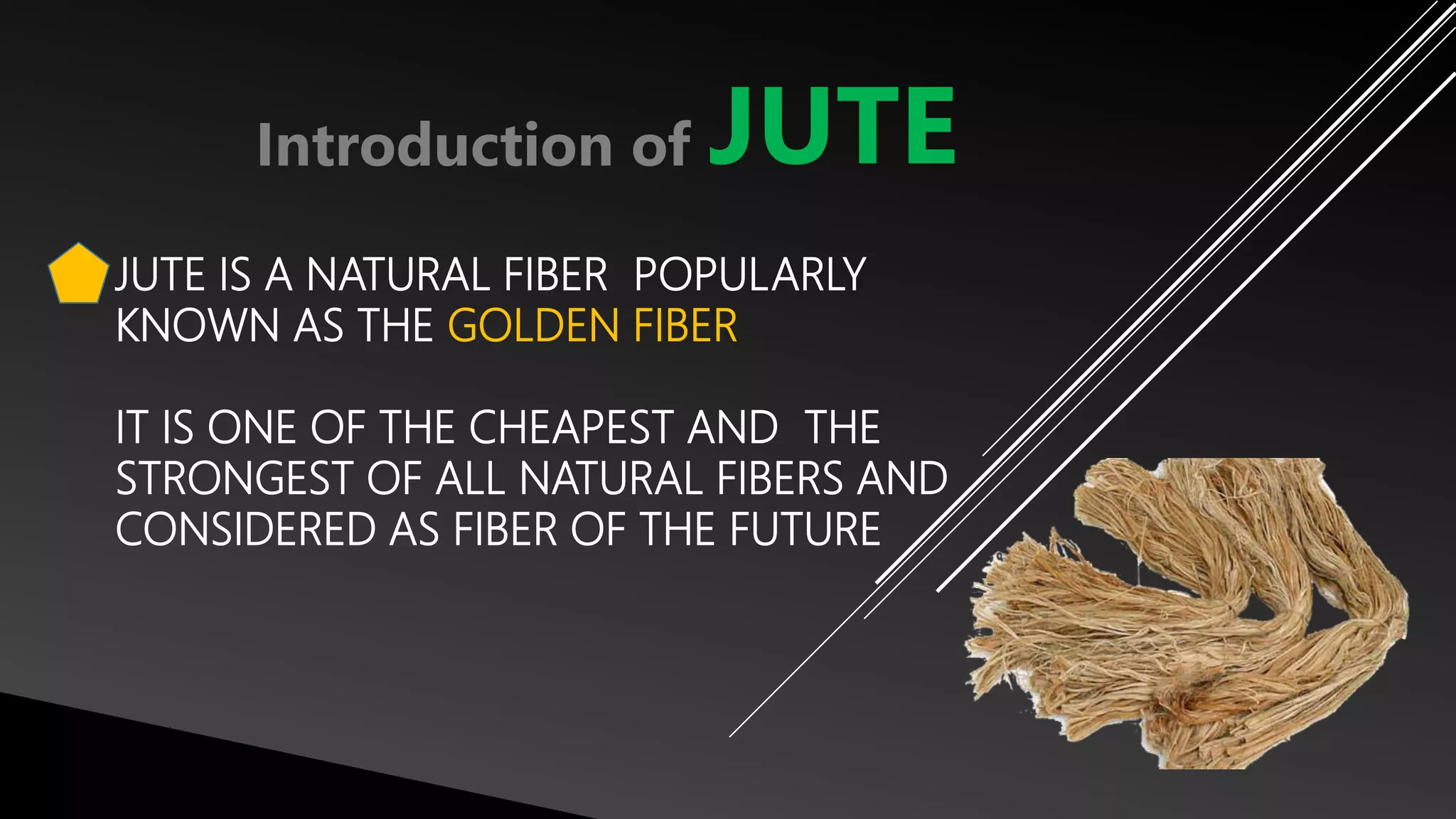 Problem Prospect of jute in Bangladesh | PPTX