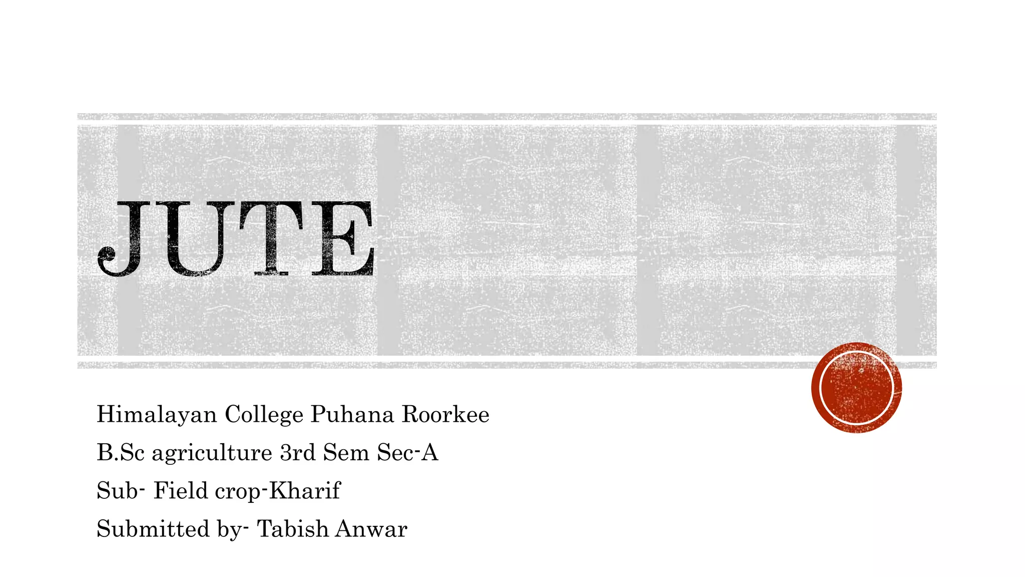 Jute: The golden fibre | PPTX