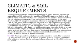 Jute: The golden fibre | PPTX